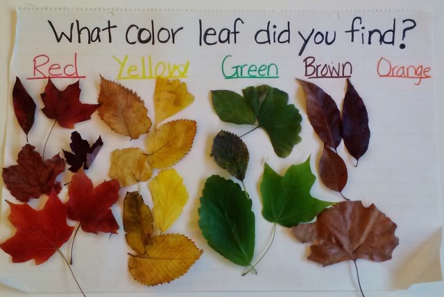 19 Leaf Activities For Kids In The Fall | Fun With Kids